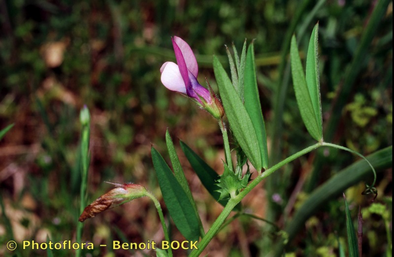 Photo n°bb010960.jpg