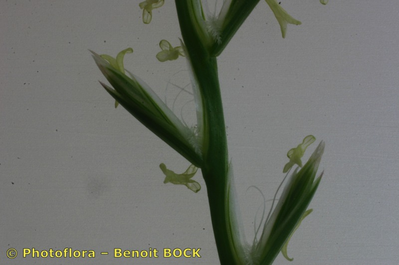 Photo n°bb020608.jpg