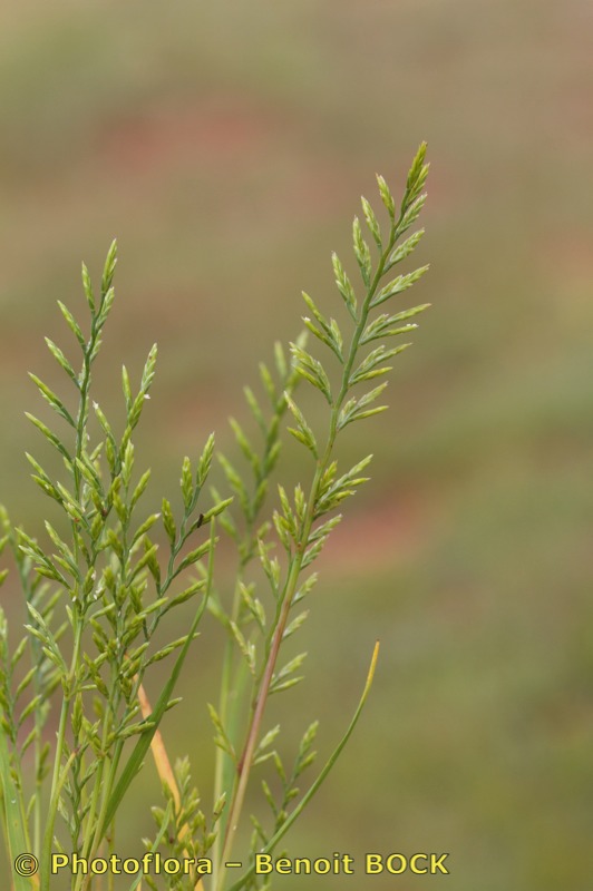 Photo n°bb052187.jpg