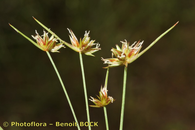 Photo n°bb096412.jpg