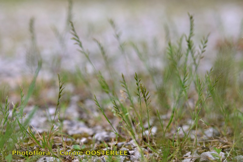 Photo n°co001717.jpg