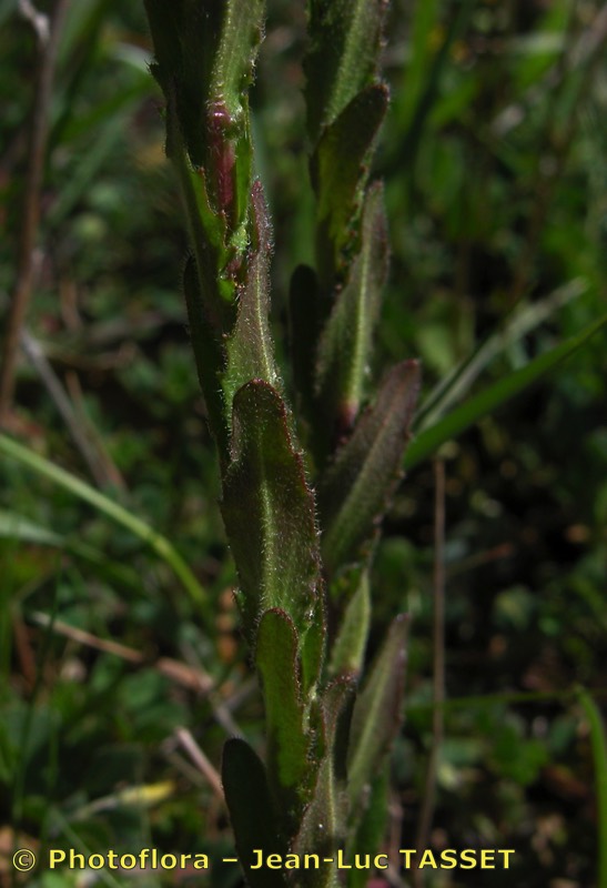 Photo n°jlt007595.jpg