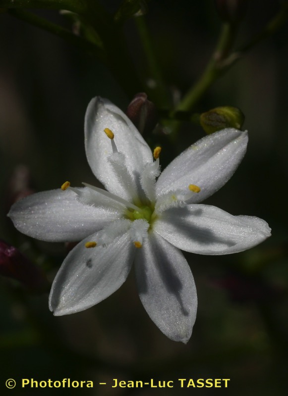 Photo n°jlt014702.jpg