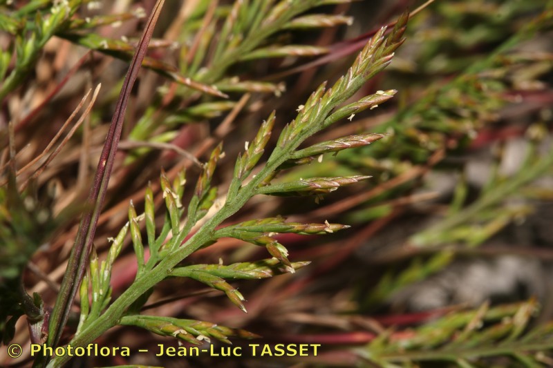 Photo n°jlt022777.jpg