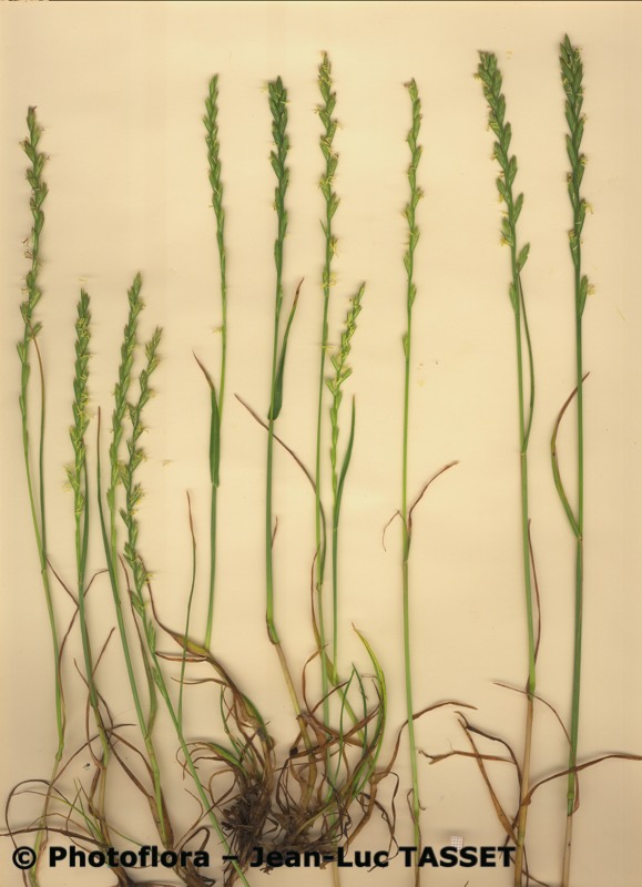 Photo n°jlt037291.jpg