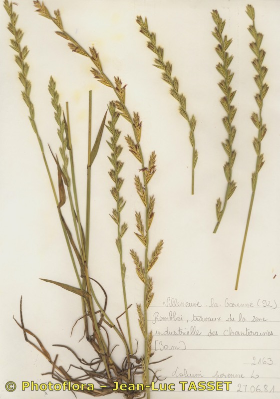 Photo n°jlt073268.jpg