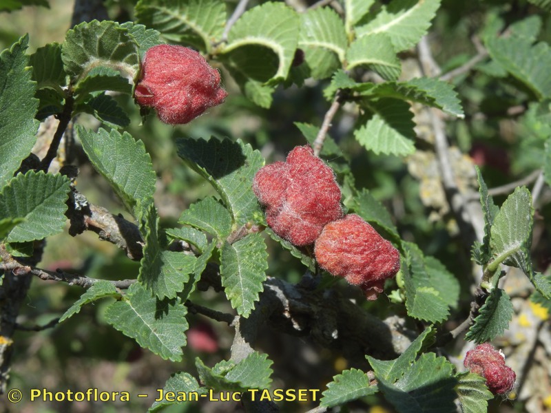 Photo n°jlt107260.jpg