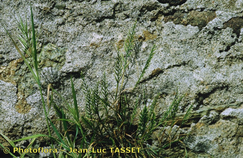 Photo n°jlt113457.jpg